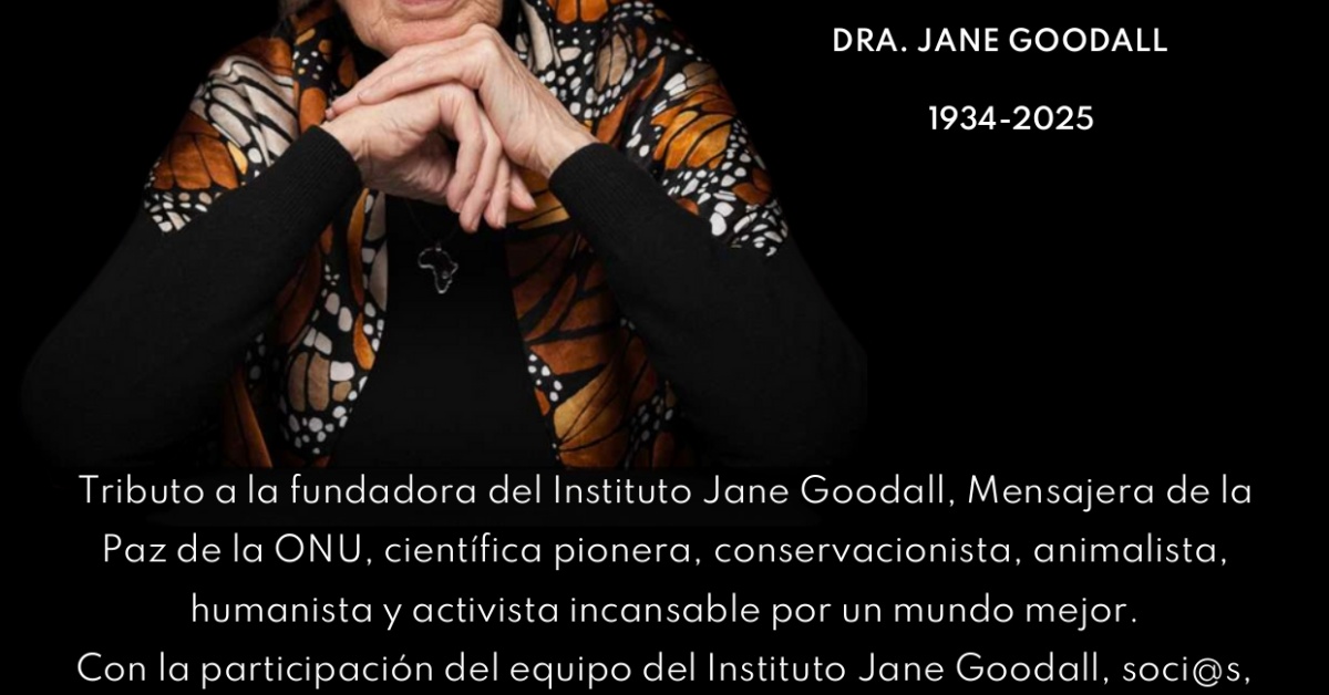 El Instituto Jane Goodall España y el ICAB recuerdan a la Dra. Jane ...